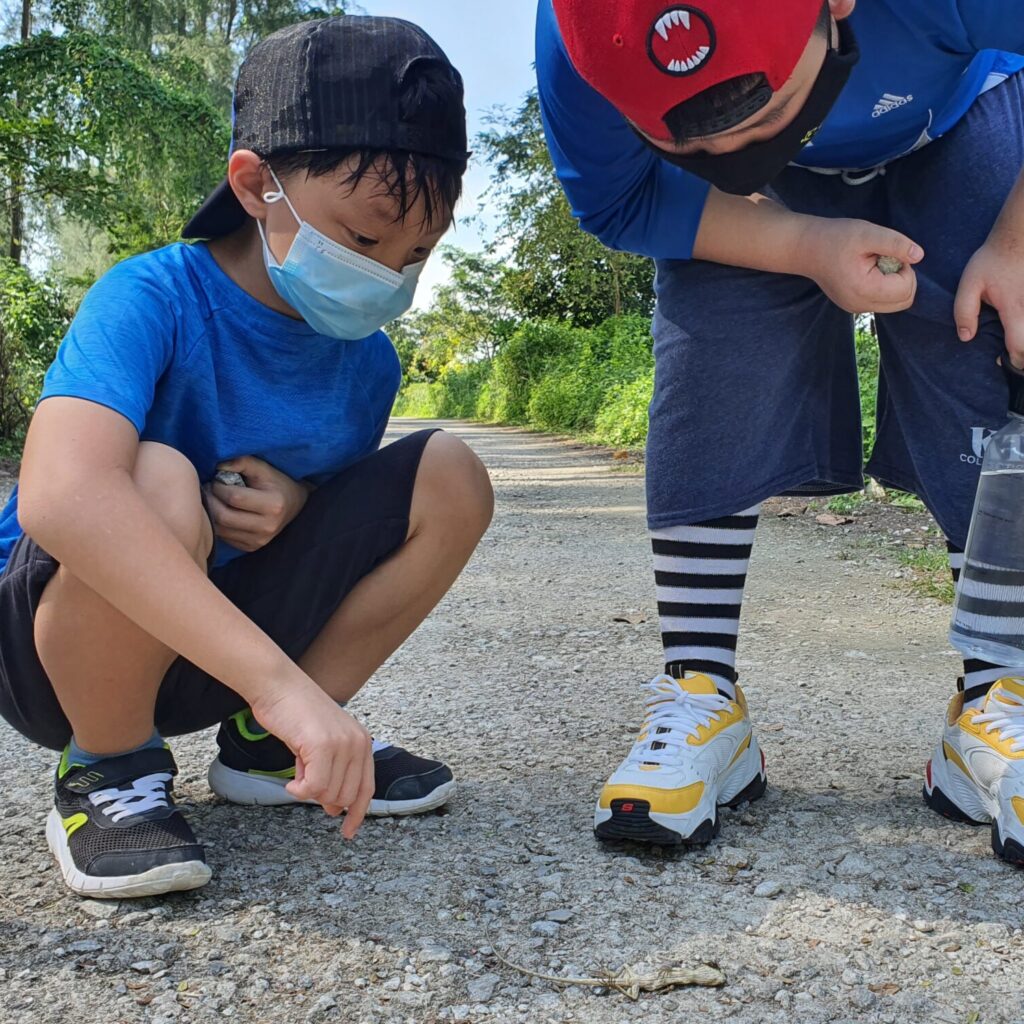 Active Learning for Kids Outdoors - Little Rangers Club