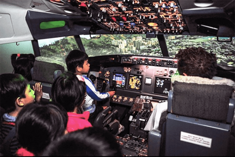 Flight Simulator Experience Fun for the Whole Family
